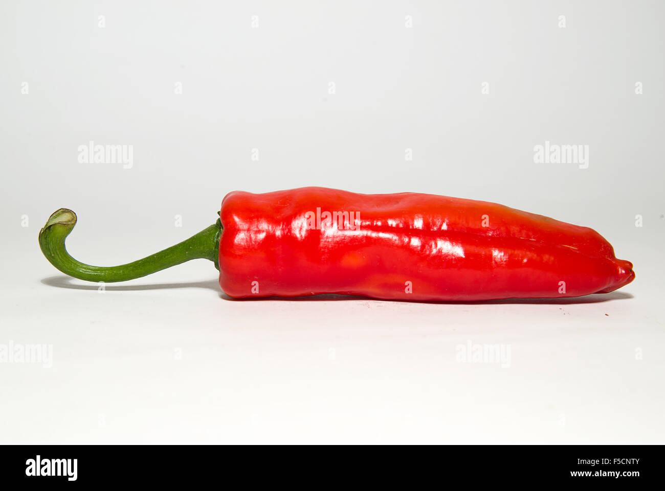 One red pepper on a white background Stock Photo - Alamy