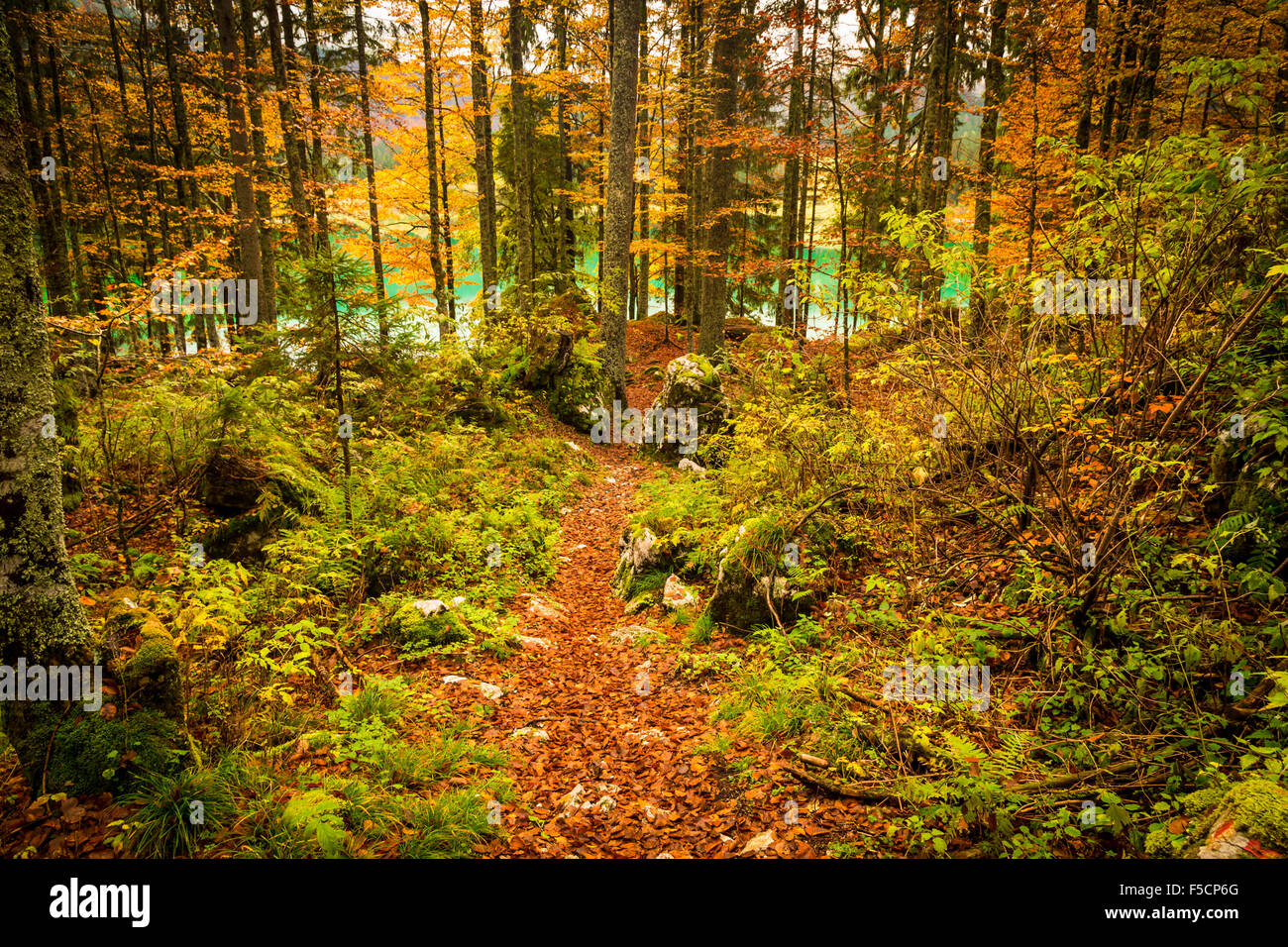 Fall in the italian alps in a misty day Stock Photo - Alamy