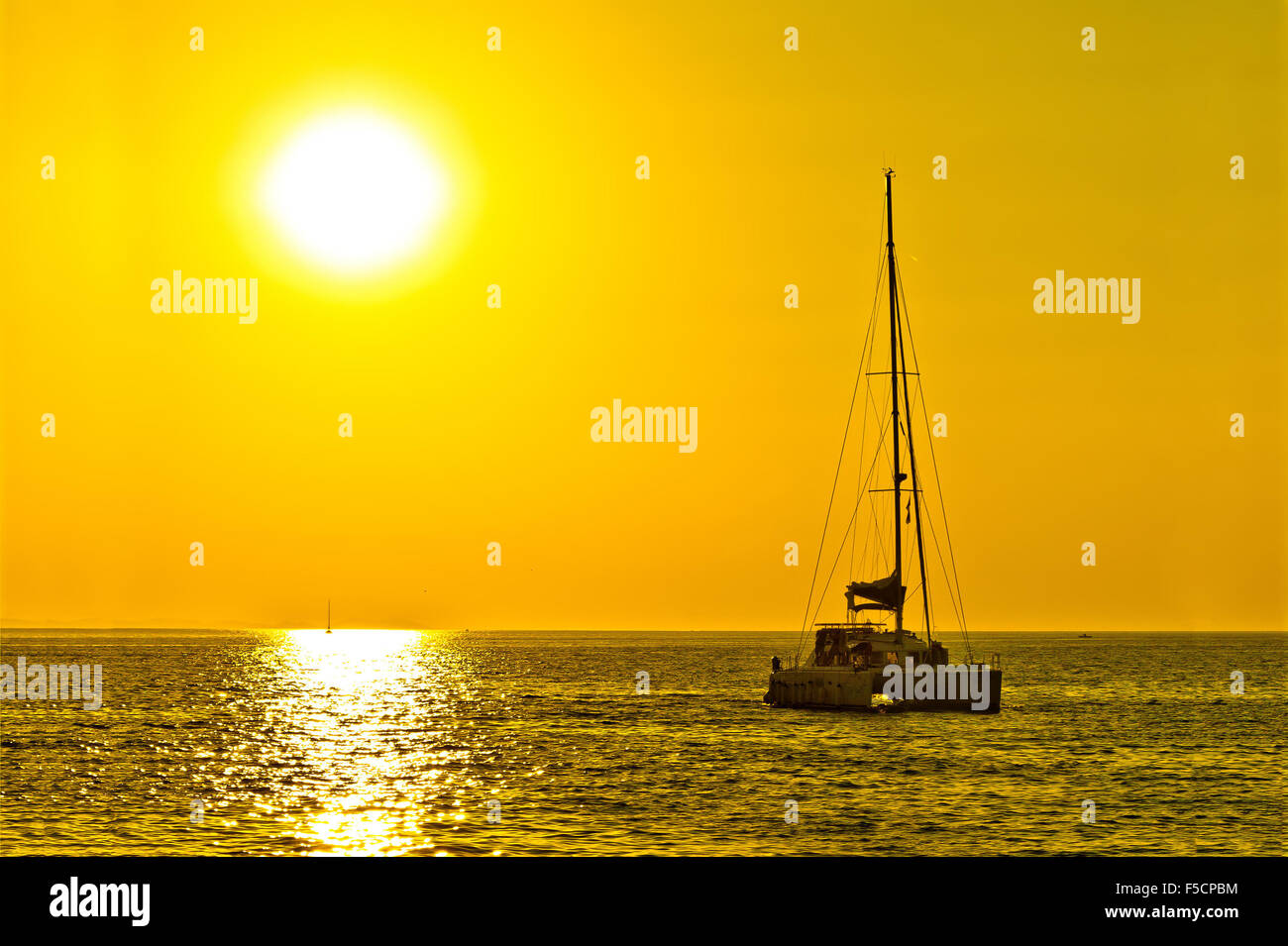 Catamaran sailboat on golden sunset on open sea Stock Photo - Alamy