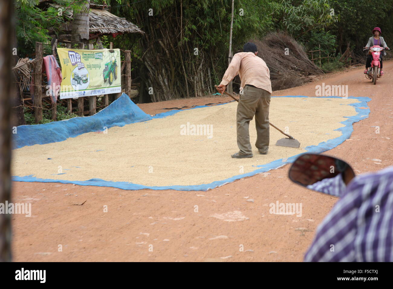 Rice drying on the road hi-res stock photography and images - Alamy