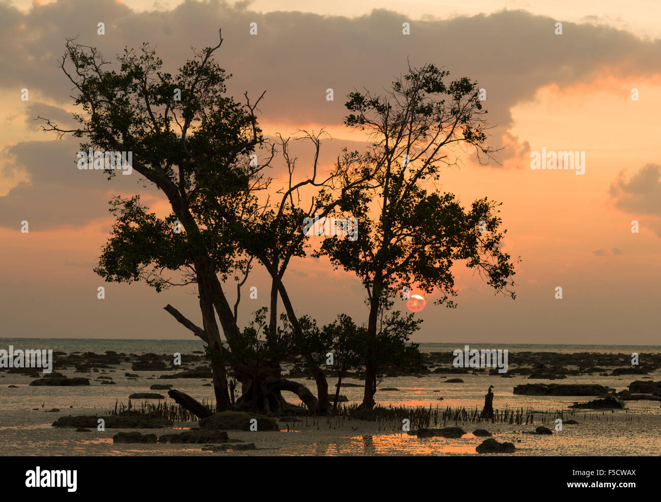 Magic sunset on Havlock island beach Stock Photo - Alamy
