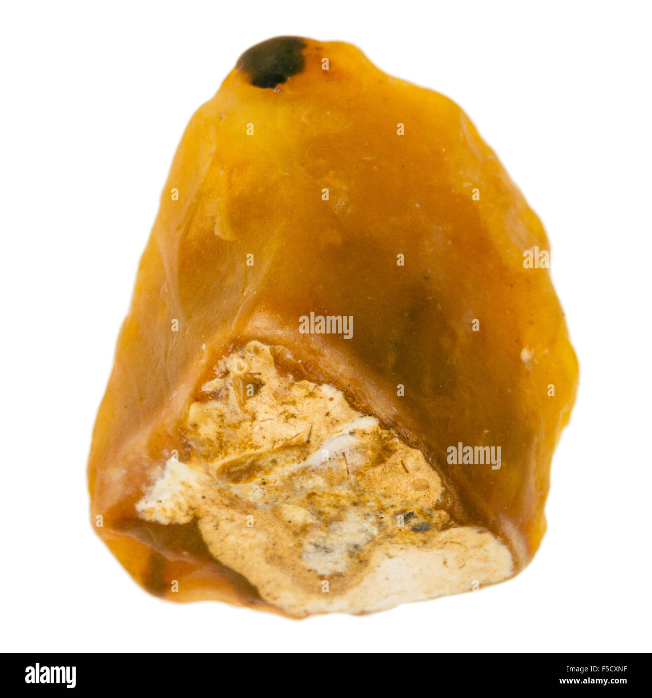 Piece of amber cutout on white background Stock Photo - Alamy