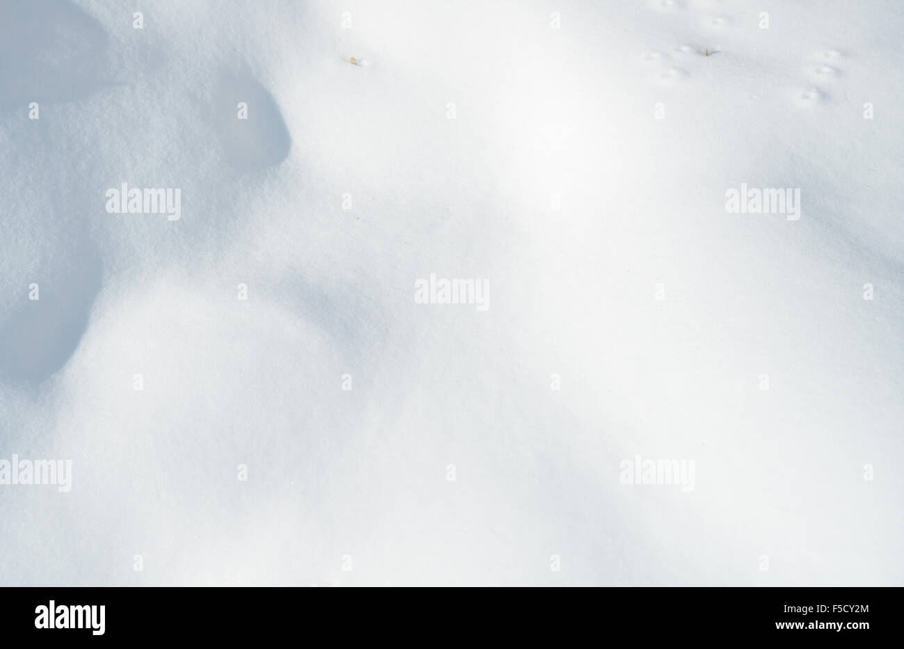 fresh snow background Stock Photo - Alamy