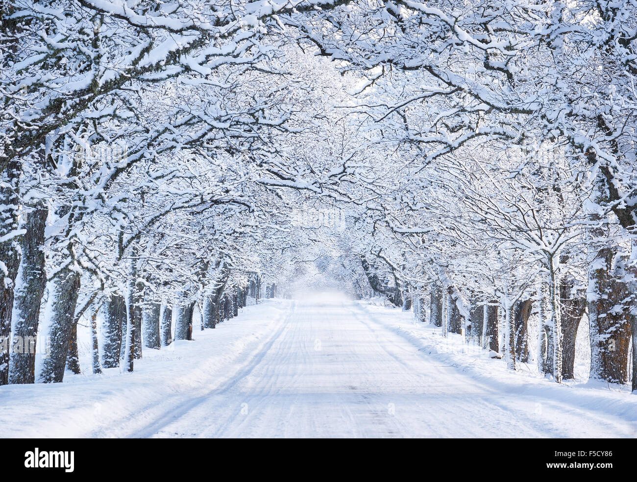Alley in snowy morning Stock Photo - Alamy