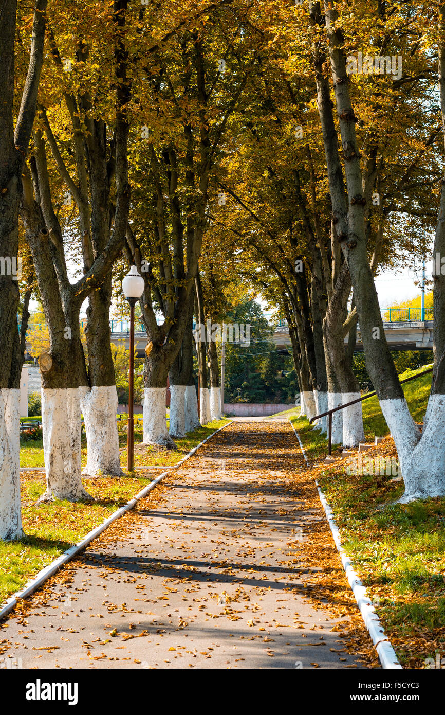 Pathway in the autumn park Stock Photo - Alamy