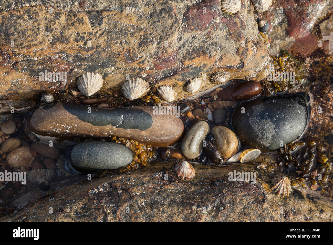 Wear patterns hi-res stock photography and images - Alamy