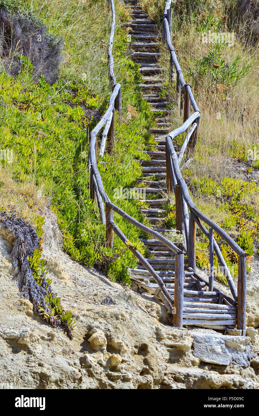 Old wooden stairs on the slope of the mountain Stock Photo - Alamy