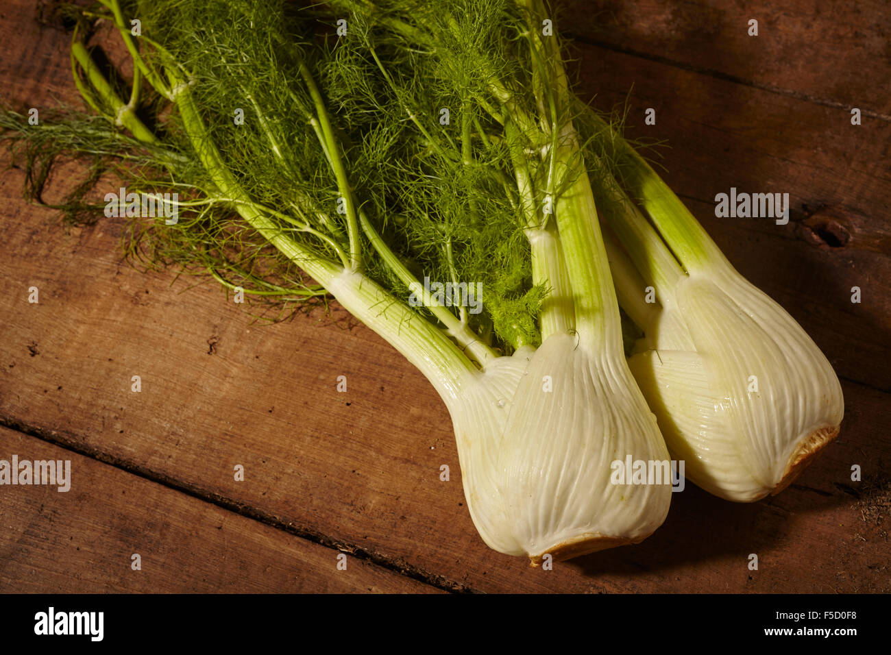Fennel bulbs cooking hi-res stock photography and images - Alamy