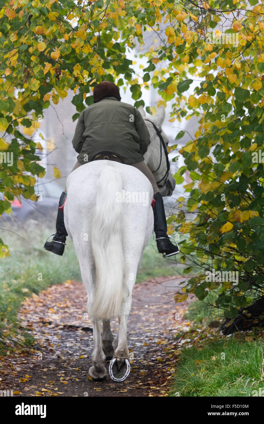 London, UK. 02nd Nov, 2015. A man goes horse rising on a foggy day on ...