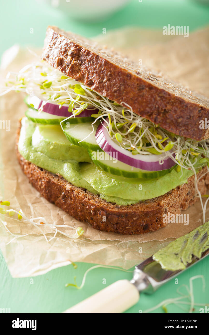 healthy avocado sandwich with cucumber alfalfa sprouts onion Stock ...