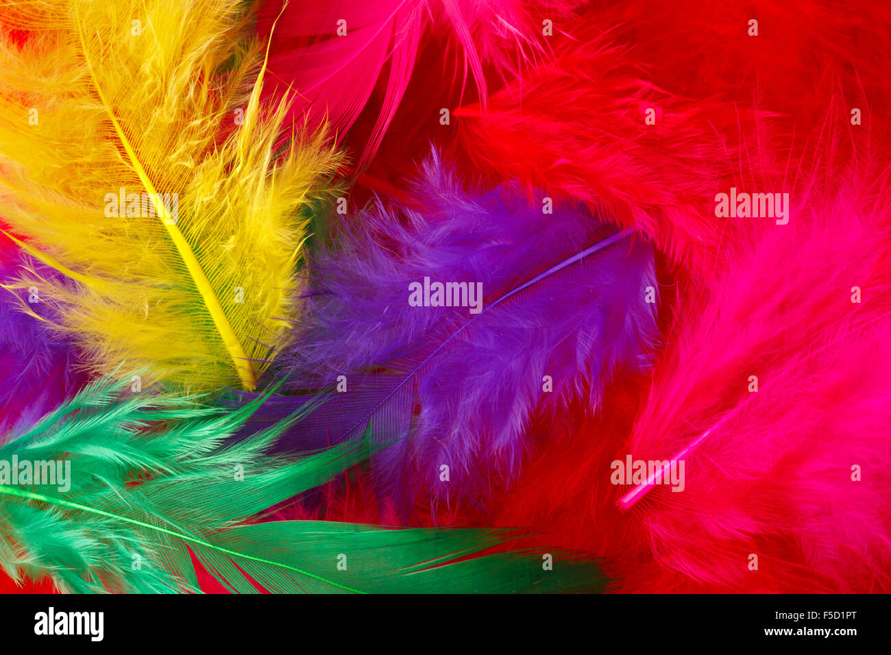 Bright multi-colored feathers background Stock Photo - Alamy