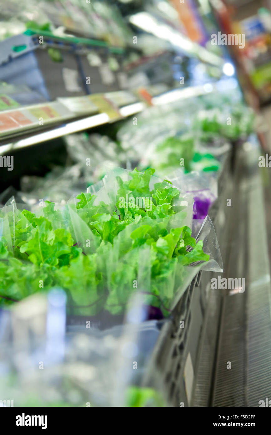 Lettuce on display at the supermarket. Very shallow depth of field ...