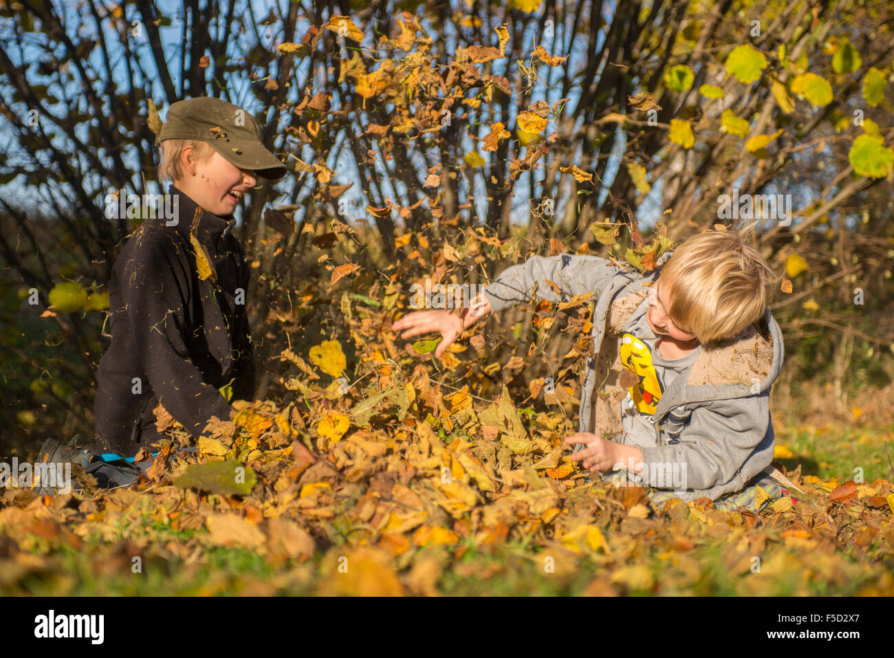 Two Children boys playing, throwing autumn leaves from pile in the ...