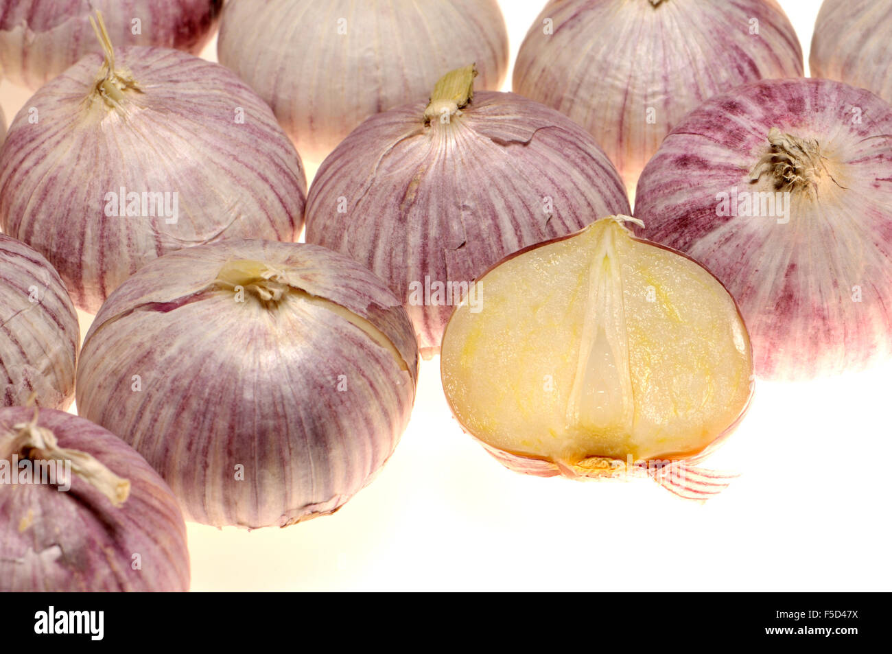 Single Bulb Garlic / Solo Garlic (Allium sativum) The bulb is not split ...