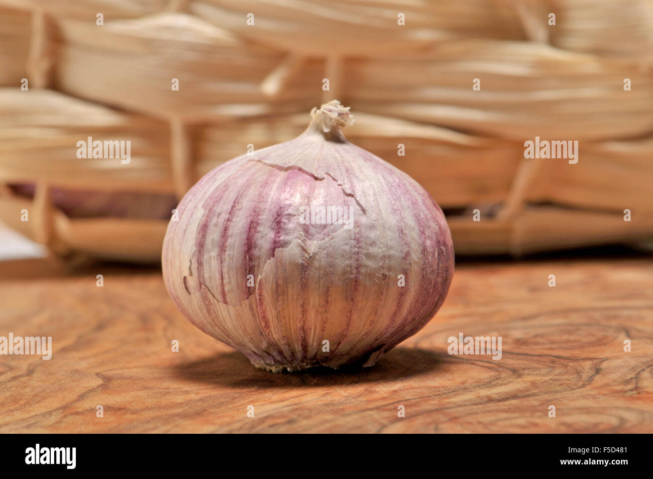 Single Bulb Garlic / Solo Garlic (Allium sativum) The bulb is not split ...