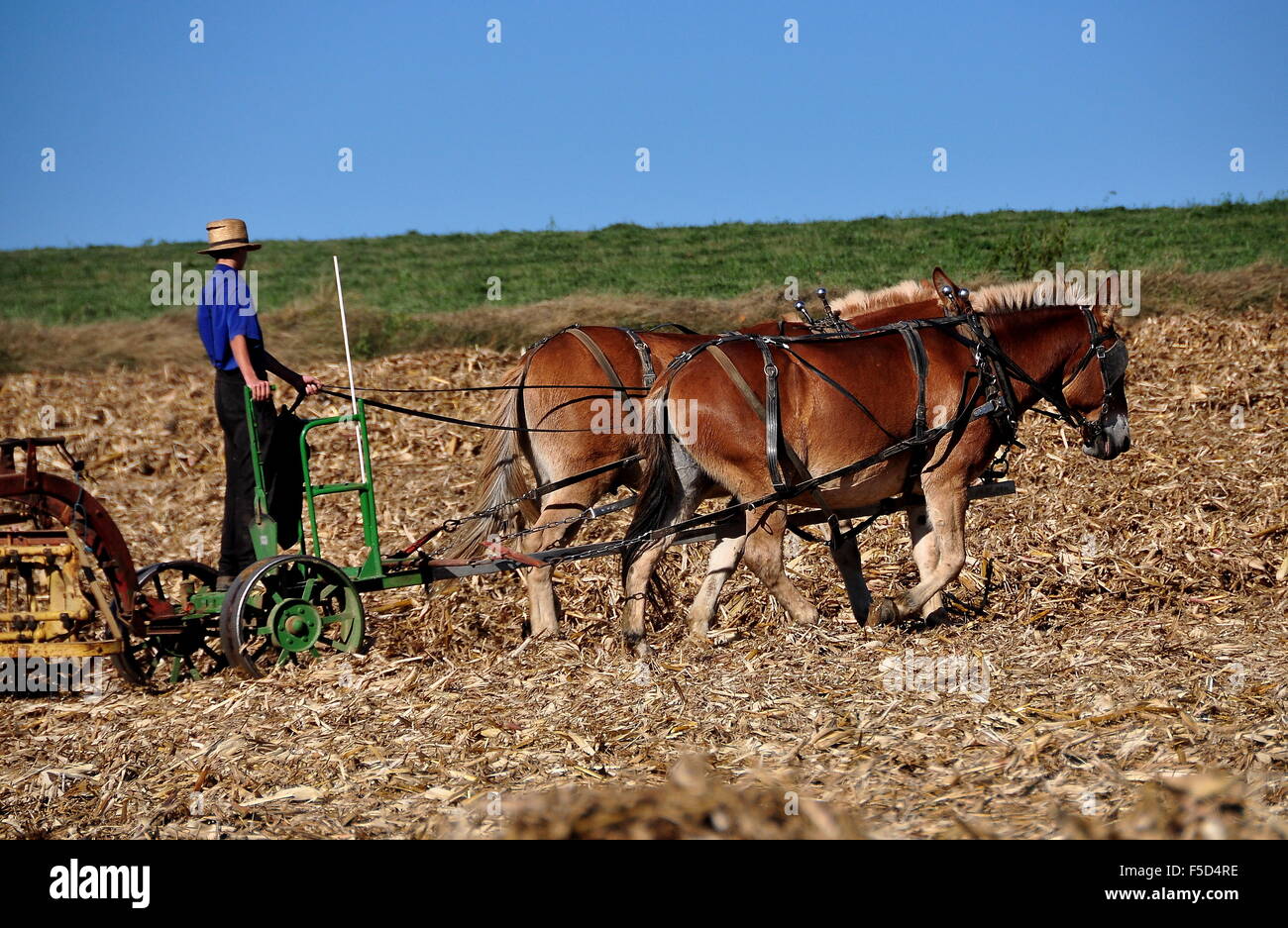 Lancaster County, Pennsylvania Amish farmer riding a field tiller ...