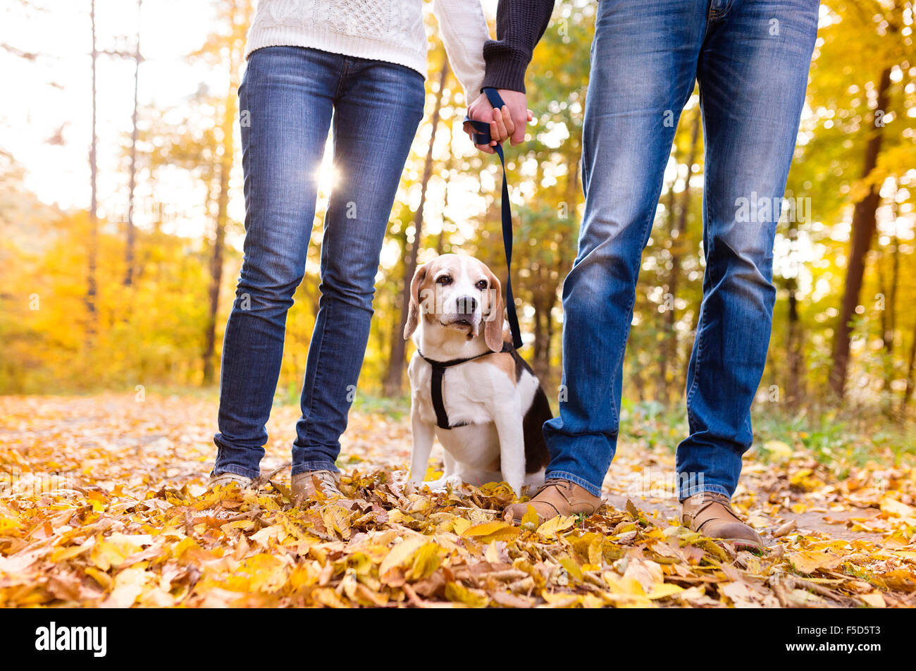 Beautiful couple in nature Stock Photo - Alamy