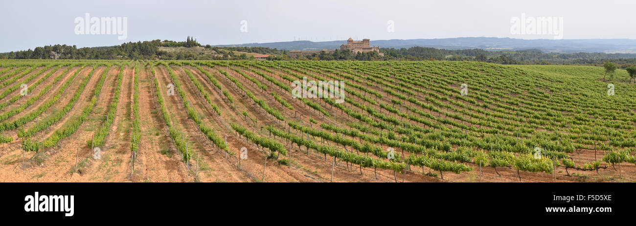 Spanish estate hi-res stock photography and images - Alamy