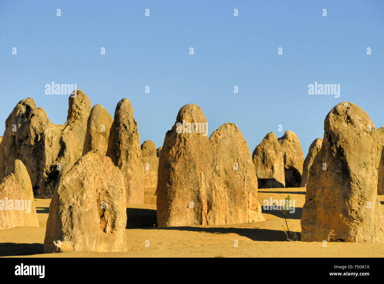 Pinnacles desert in Western Australia Stock Photo - Alamy
