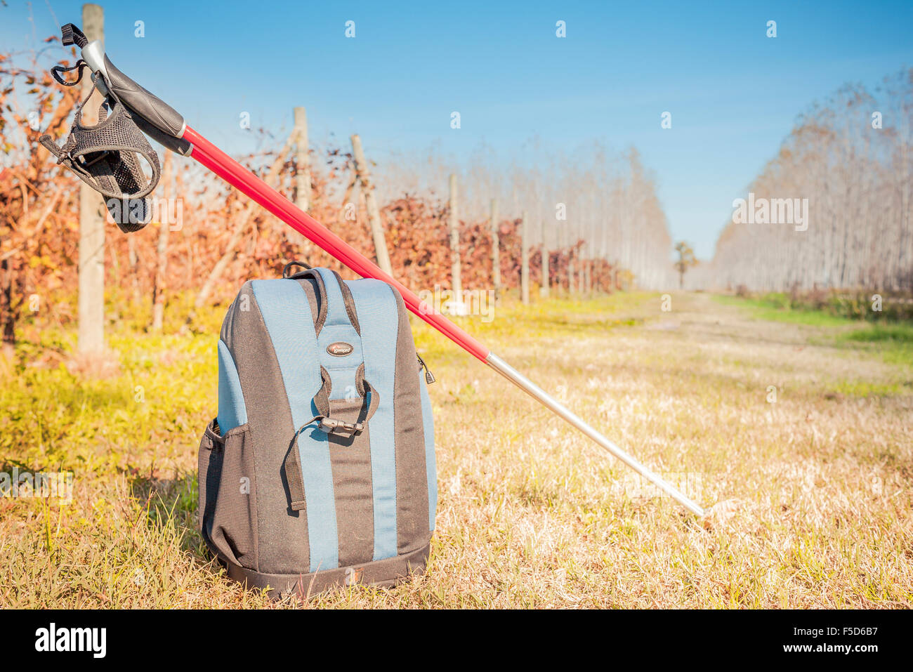 Backpack walking stick hi-res stock photography and images - Alamy