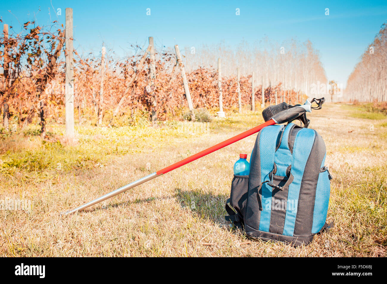 Backpack and sticks to do nordic walking on country roads Stock Photo ...