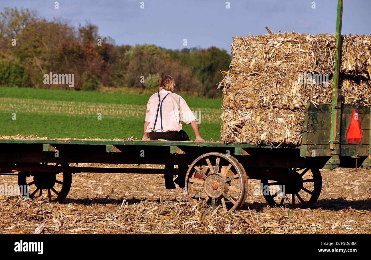 Amish pennsylvania hi-res stock photography and images - Alamy