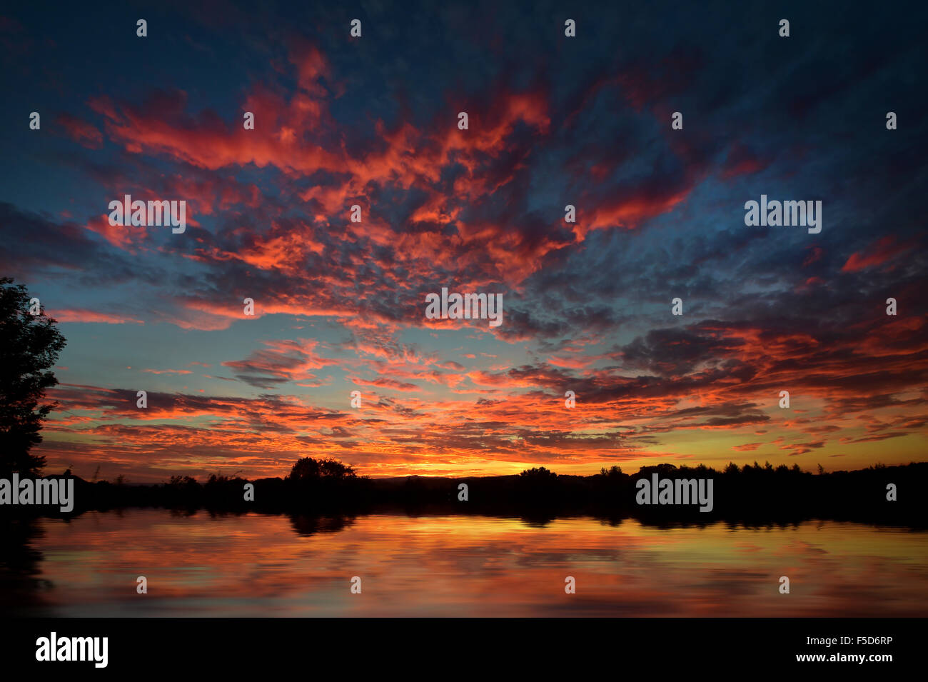 Red sky with trees hi-res stock photography and images - Alamy