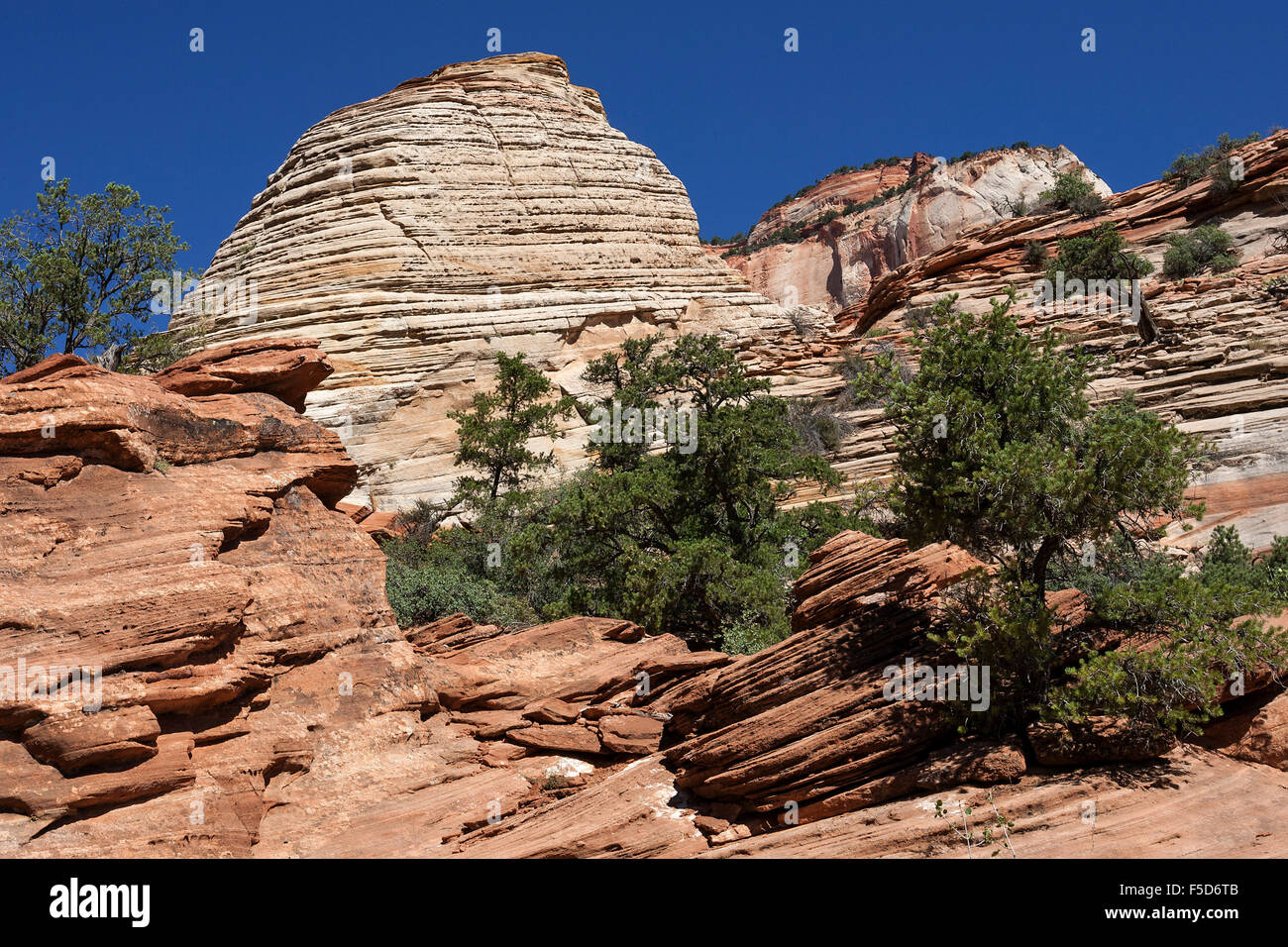 Sandstone rock formations at Canyon Overlook Trail, Zion National Park ...