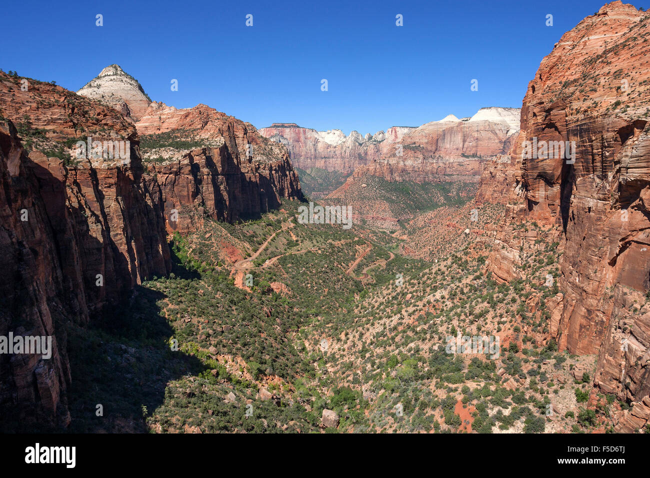 View of Zion Canyon from Canyon Overlook, Bridge Mountain rear left ...
