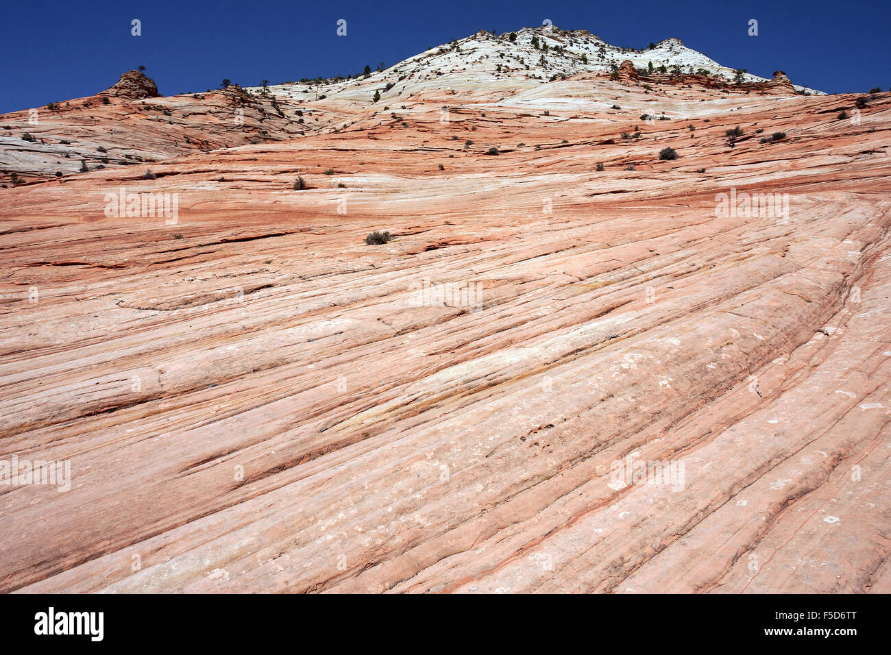 Sandstone rock formations at Clear Creek, Zion National Park, Utah, USA ...