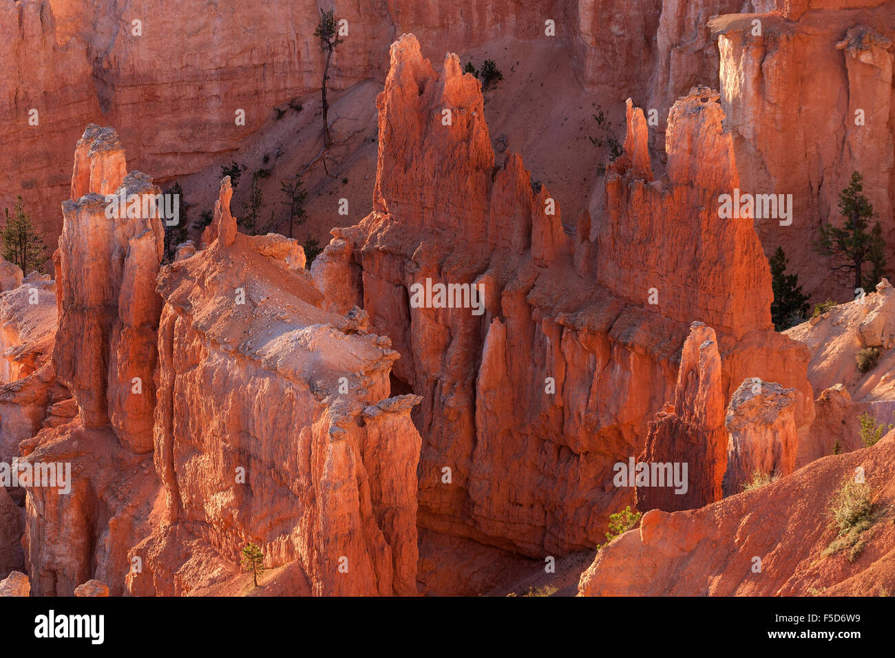 View of coloured rock formations, fairy chimneys, morning light, Bryce ...