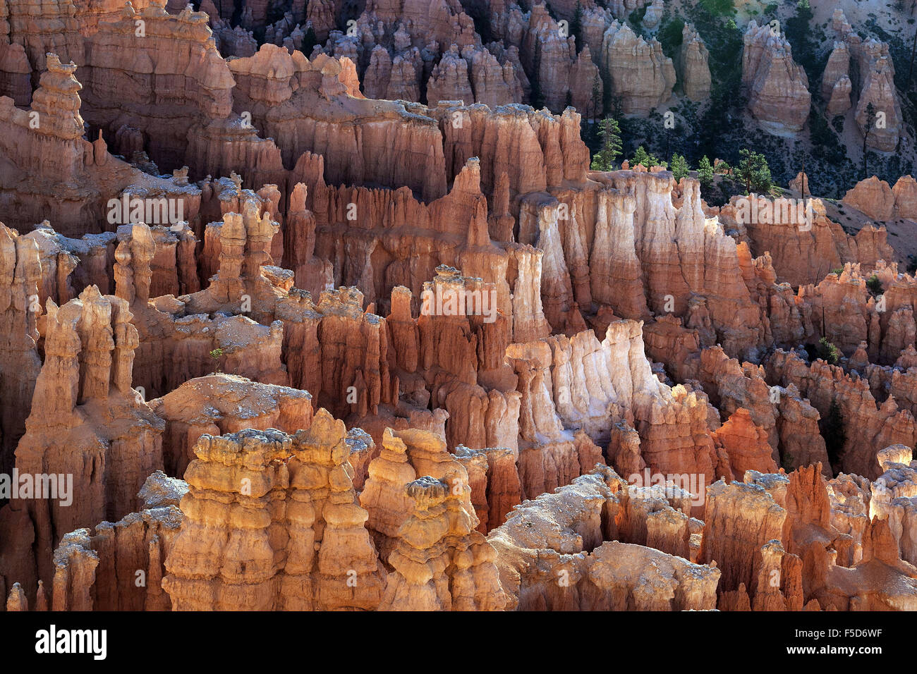 View of coloured rock formations, fairy chimneys, morning light, Bryce ...