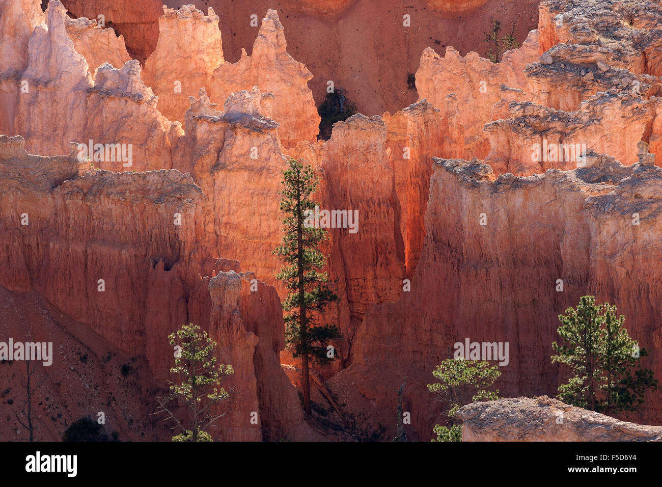 View of coloured rock formations, fairy chimneys, morning light, Bryce ...