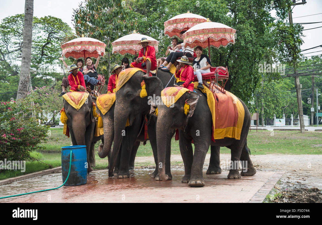 Native tourists riding decorated elephants, Ayutthaya, Thailand Stock ...