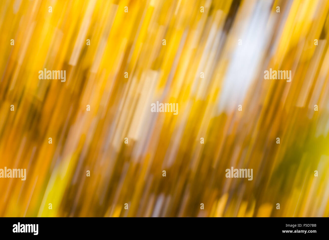 motion blur defocused fall background Stock Photo - Alamy