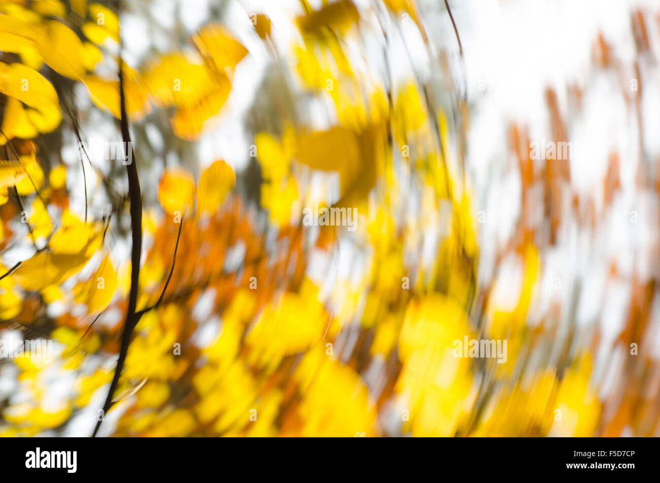 Vibrant orange sunshine motion blur hi-res stock photography and images ...