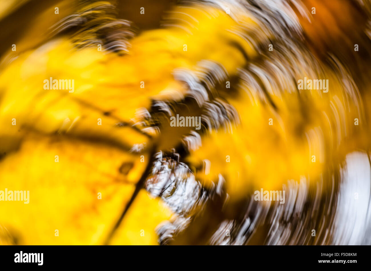 Yellow motion background hi-res stock photography and images - Alamy