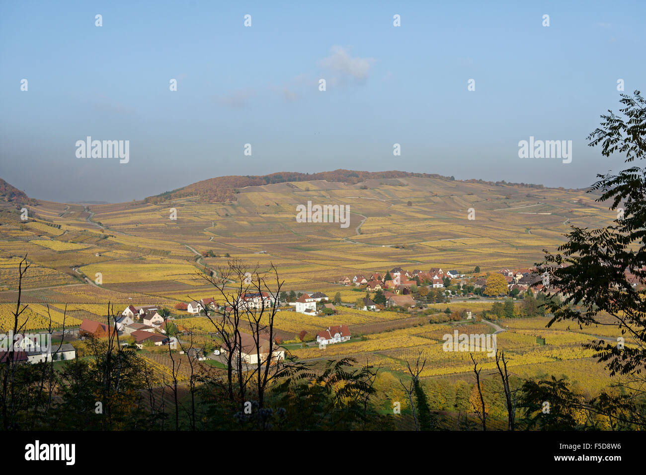 France, Alsace, Landscape in vineyards close to Kaysersberg Stock Photo ...