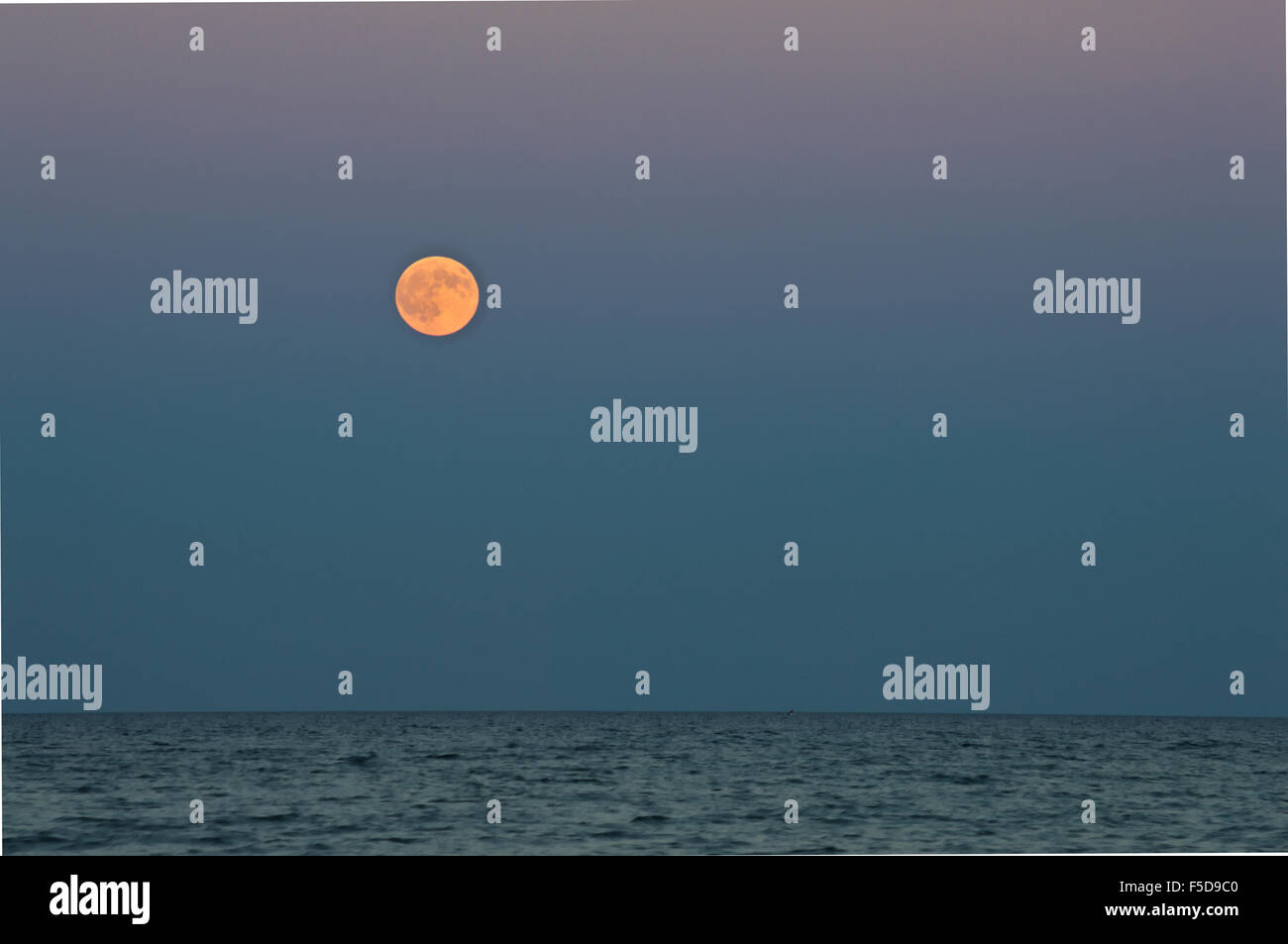 the full moon after the sunset Stock Photo - Alamy