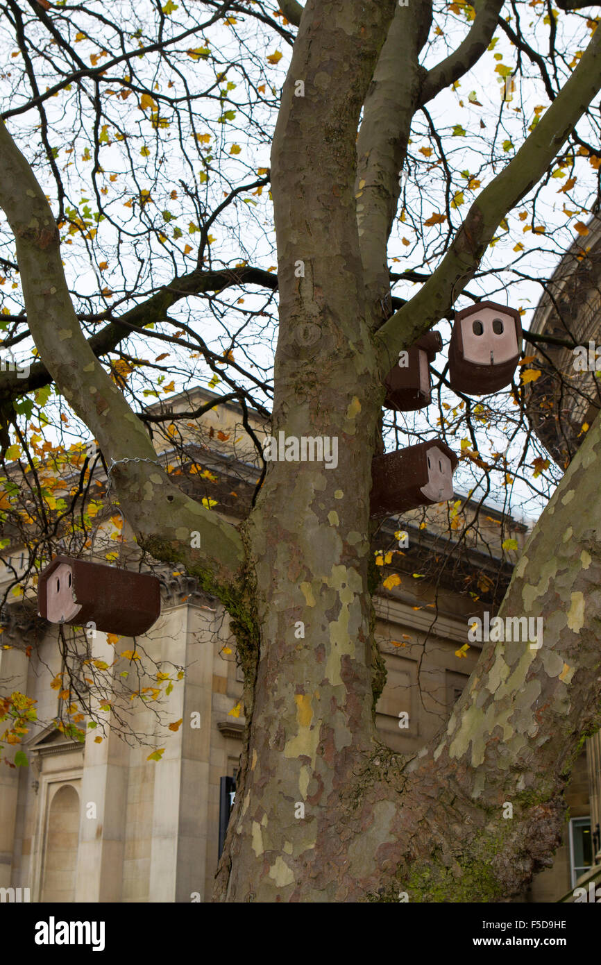 Hanging bird boxes hi-res stock photography and images - Alamy