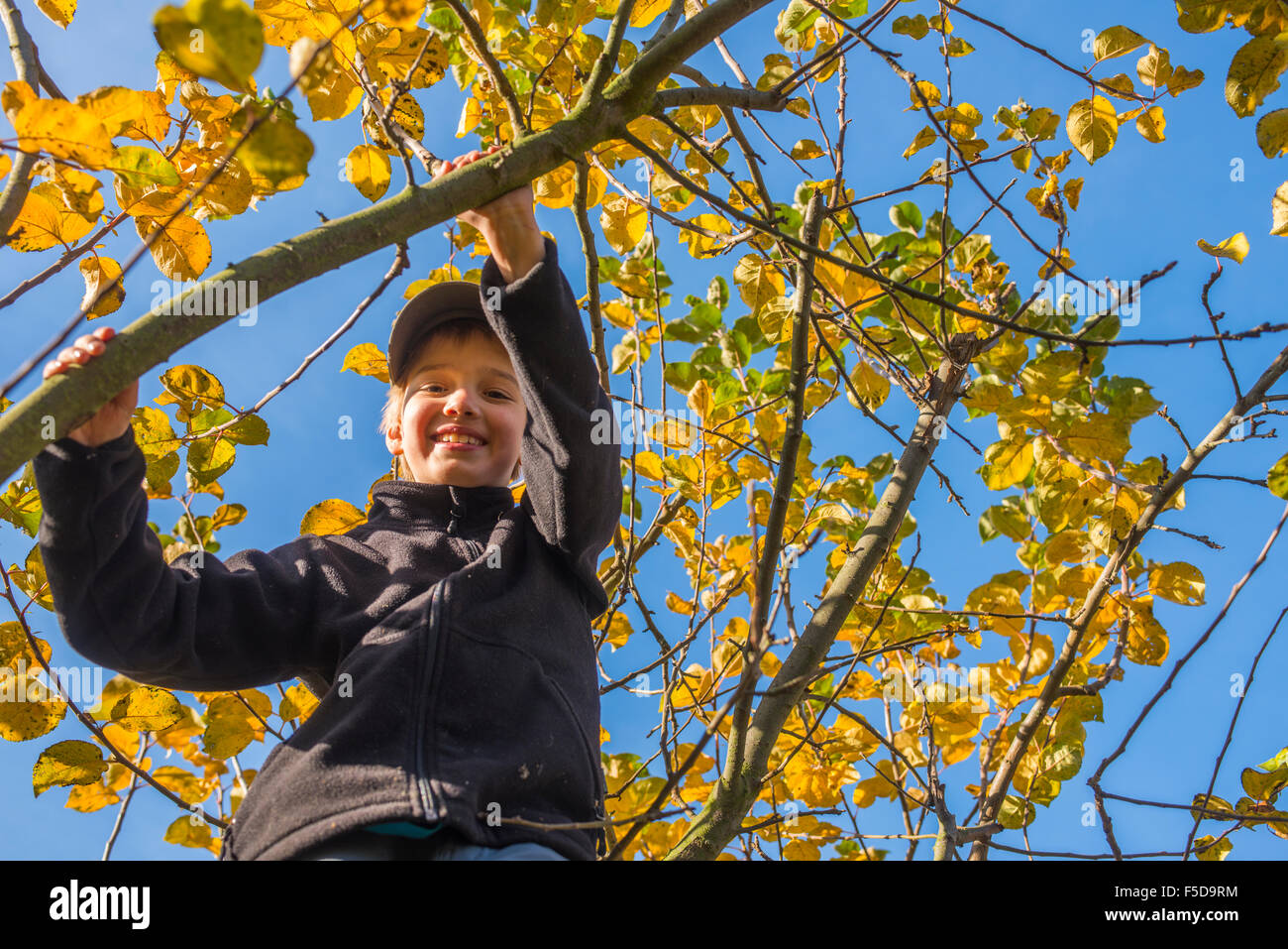Climb boy tree hi-res stock photography and images - Alamy