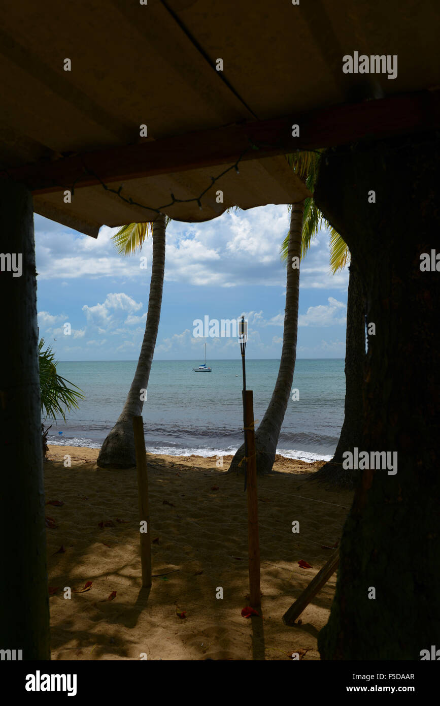 Tres palmas puerto rico hi-res stock photography and images - Alamy