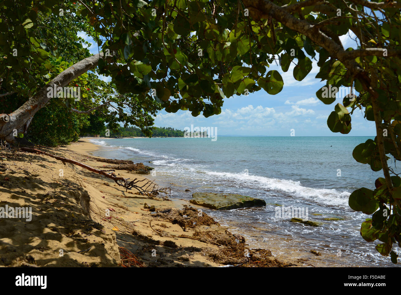 Reserva Marina Tres Palmas. Marina Beach. Ricon, Puerto Rico. USA ...