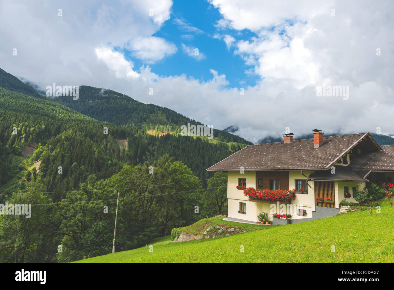 Traditional alpine house in green forest mountains. Horizontal shot ...