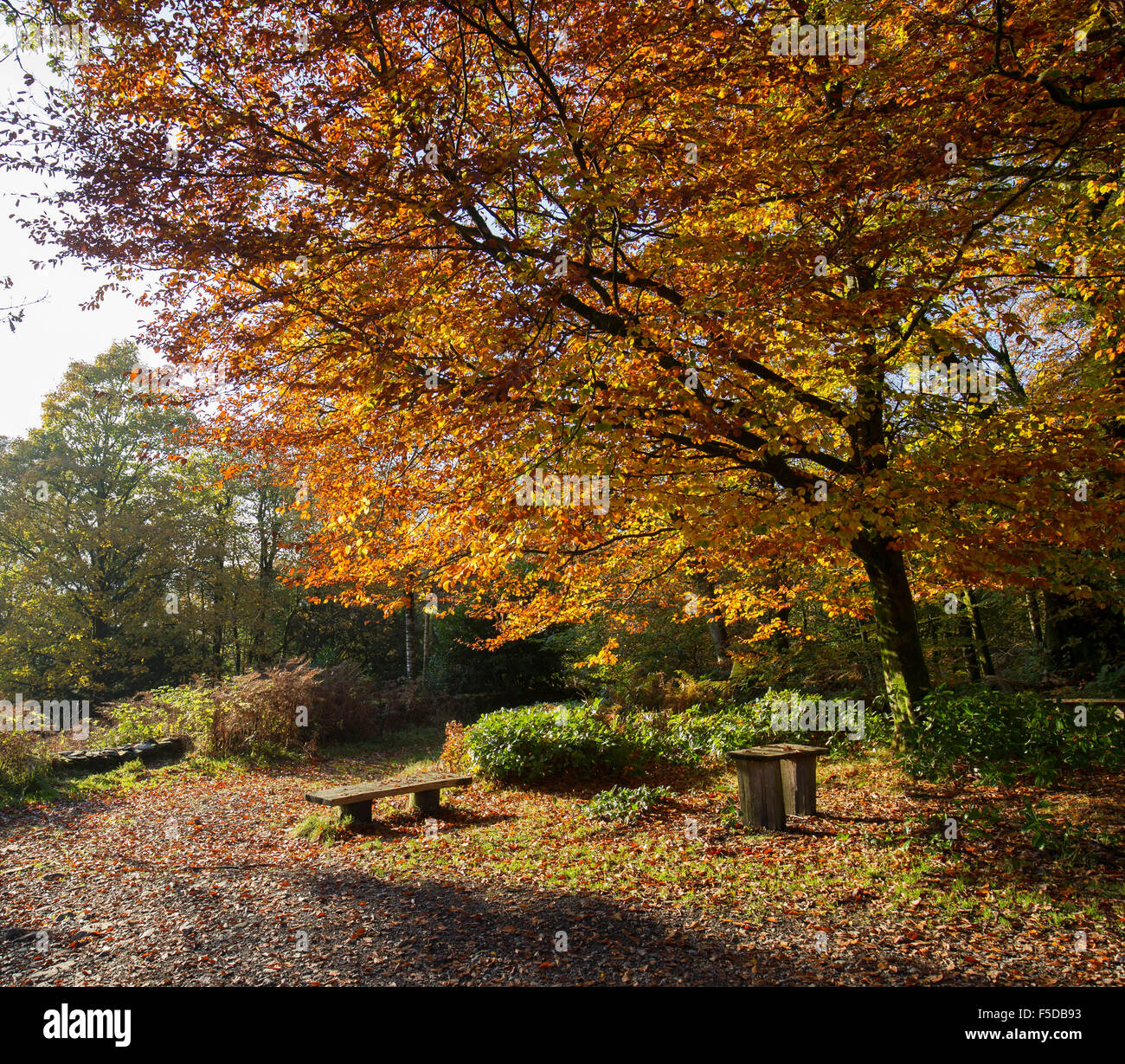 Lake District, Cumbria, UK. 2nd November, 2015. UK Weather: Sun ...