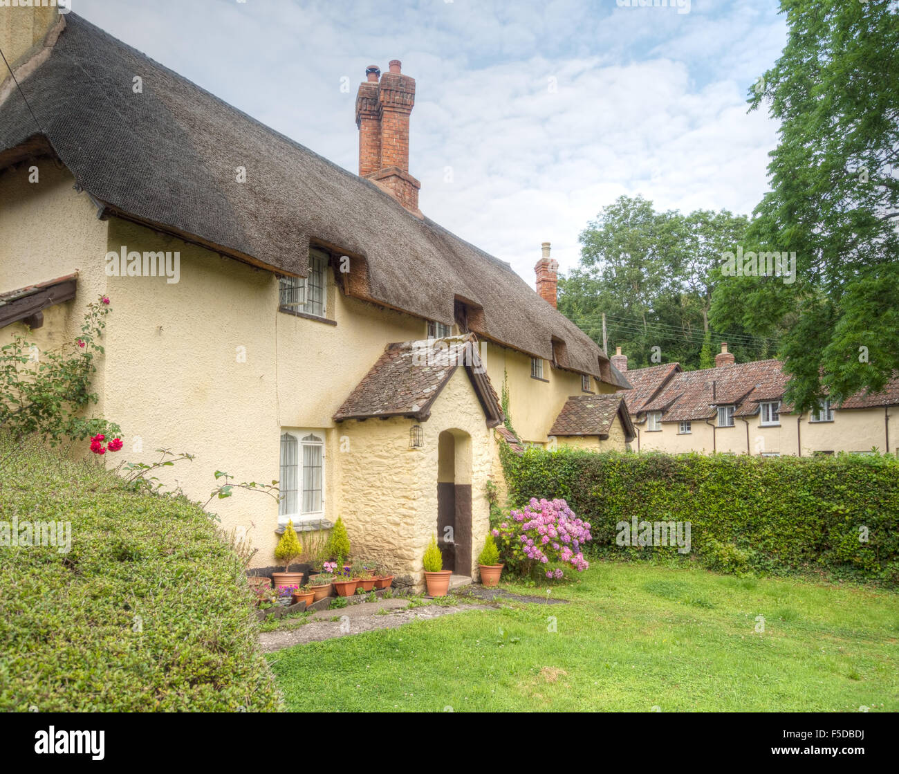 Traditional English thatched country cottage. Exmoor Stock Photo - Alamy
