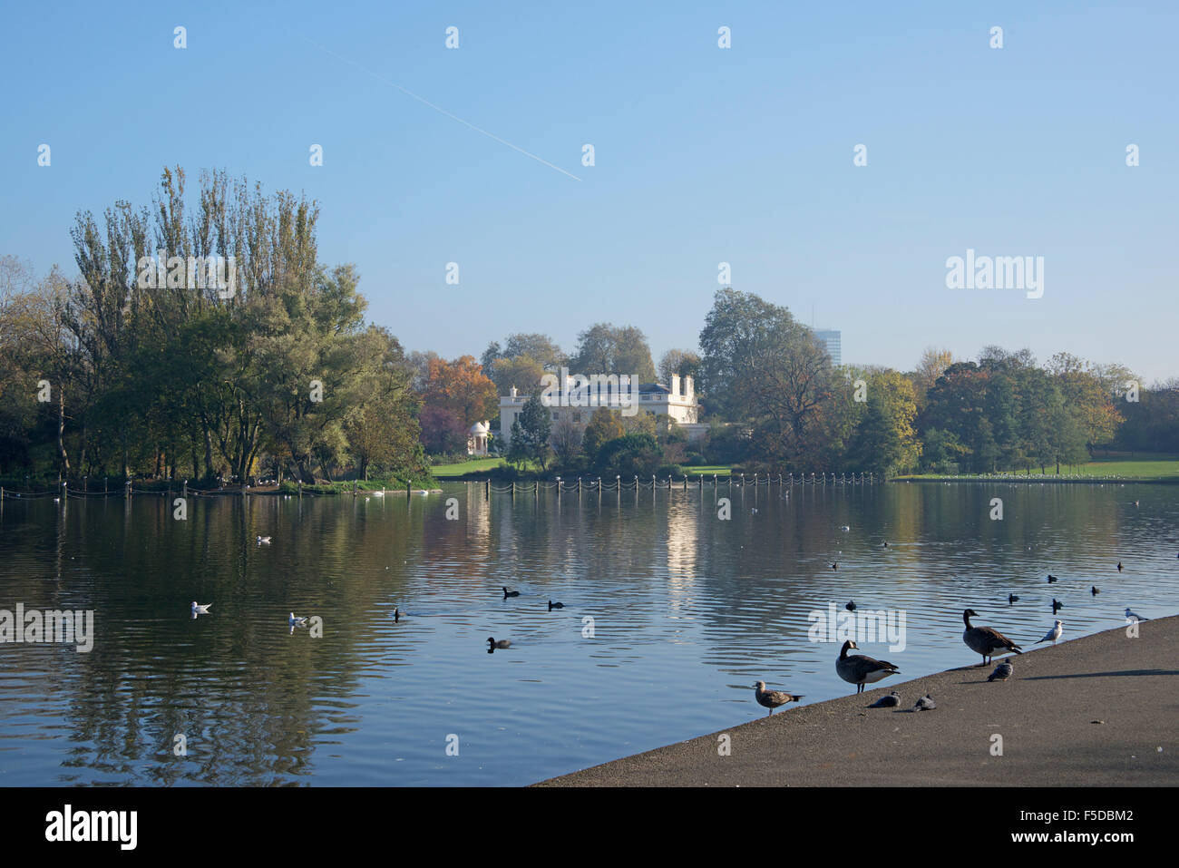 Boating Lake and Regents University Regents Park London England Stock ...