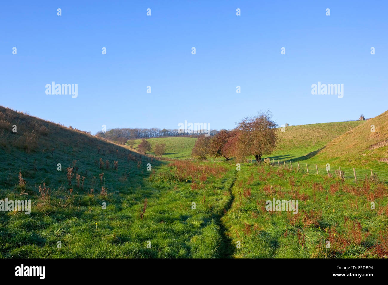 Lush green grass and hawthorn trees in scenic Horsedale in the ...