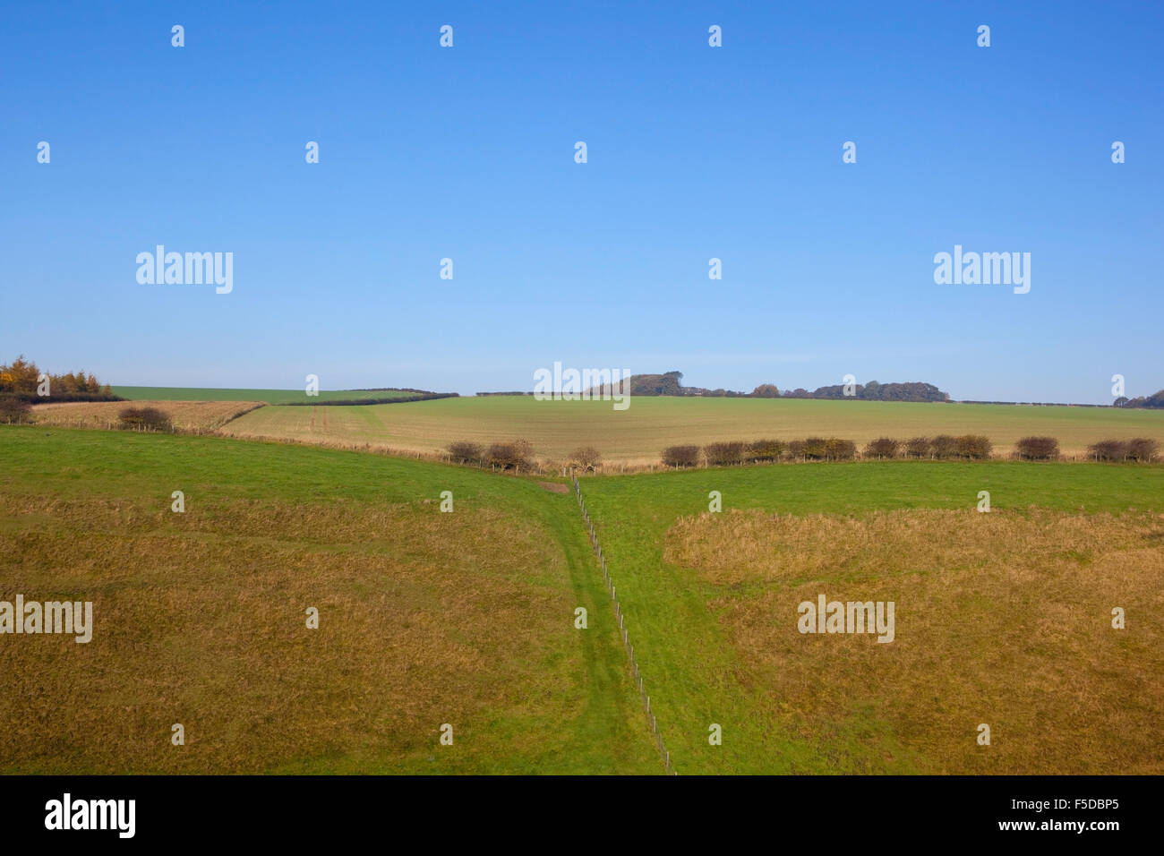 Autumn landscape on the Yorkshire wolds above Horsedale on a fine ...