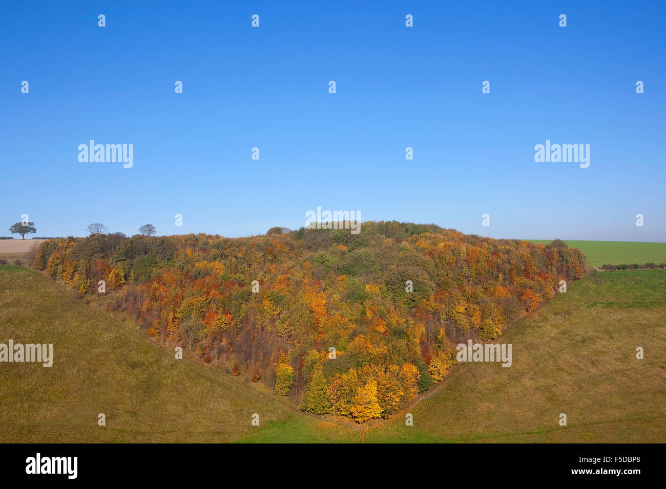 Colorful autumn woodland on a hillside in the picturesque valley of ...